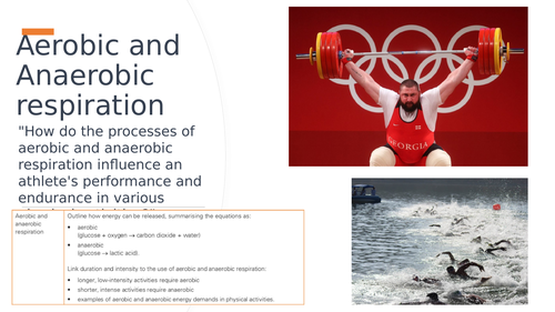 Unit 4 Energy supply and effects of exercise on the body | Teaching ...