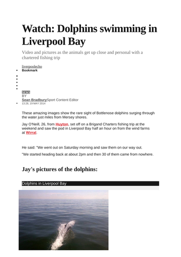 Newspaper Report Unit - Year 4 (Finding the Mermaids Purse - The Water ...