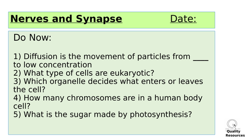 GCSE Nerves and Synapses Complete Lesson | Teaching Resources