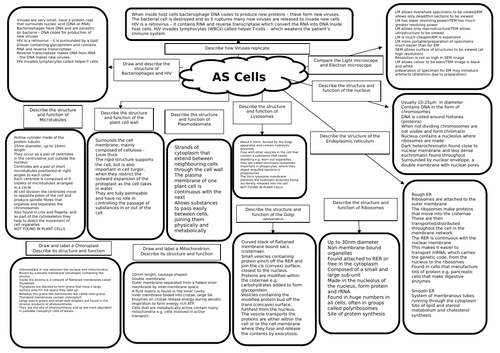 AS Biology - Completed Cells Revision Mat | Teaching Resources