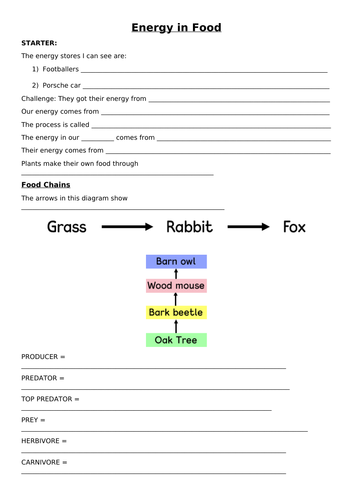 Energy In Food | Teaching Resources