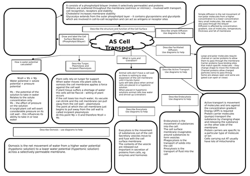 AS Biology - Completed Cell Transport Revision Mat | Teaching Resources