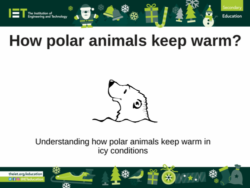 How polar animals keep warm | Teaching Resources