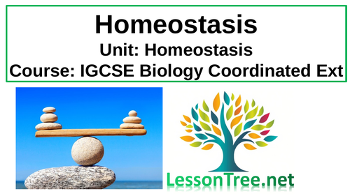 Igcse Biology Coordinated Homeostasis Extended Teaching Resources