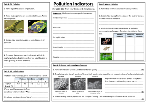 SB9e - Pollution & Indicator Species A3 sheet (Edexcel Single Biology ...