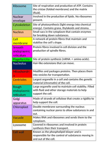 A level Biology Activity: Cell Organelle - Match, Cut & Stick ...