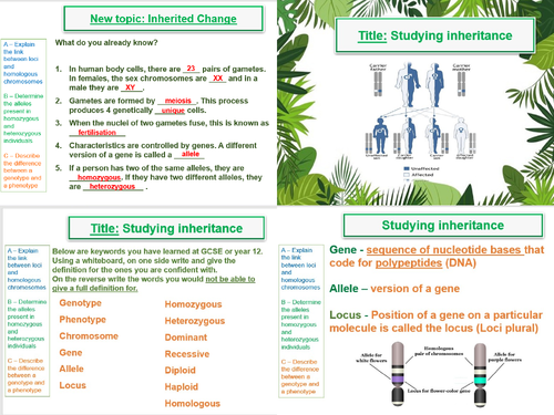 Studying Inheritance - AQA A Level Biology (A2) -17. Inherited Change | Teaching Resources