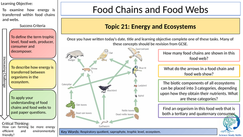 Food Chains and Webs - Oxford AQA A Level Biology | Teaching Resources