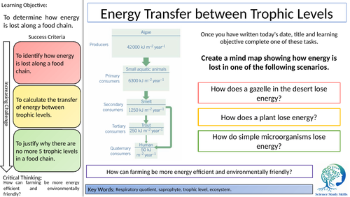 Energy Transfer between Trophic Levels - Oxford AQA A Level Biology ...
