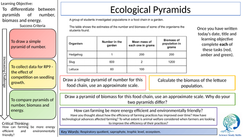 Ecological Pyramids - Oxford AQA A Level Biology | Teaching Resources