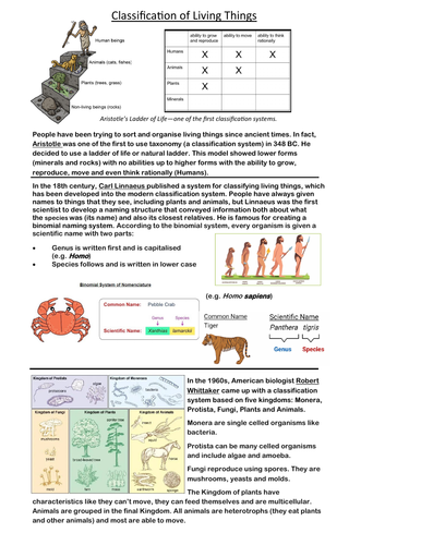 Classification of living things reading comprehension | Teaching Resources