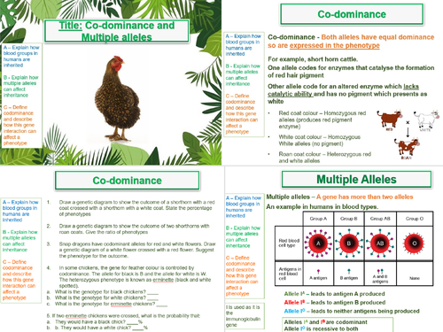 Co-dominance & Multiple Alleles - AQA A Level Biology (A2) -17 ...