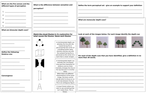 AQA GCSE PSYCHOLOGY (9-1) PERCEPTION REVISION MAT | Teaching Resources