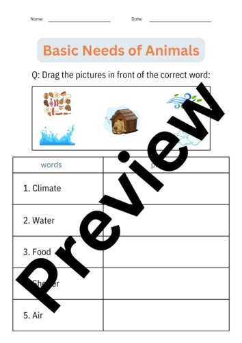 Basic Needs of Animals Activities - Taking Care of Animals Worksheet ...