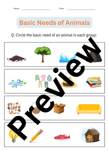 Basic Needs of Animals Activities - Taking Care of Animals Worksheet ...
