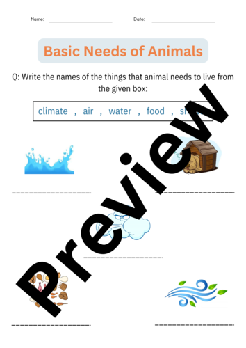 Basic Needs of Animals Activities - Taking Care of Animals Worksheet ...