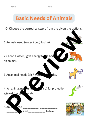 Basic Needs of Animals Activities - Taking Care of Animals Worksheet ...