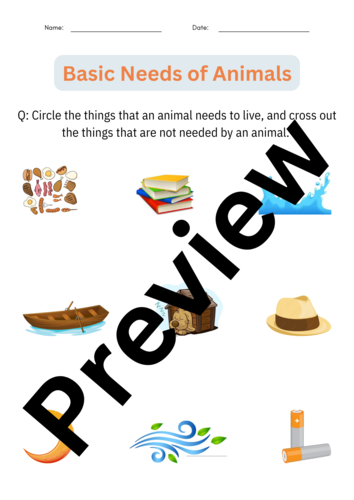 Basic Needs of Animals Activities - Taking Care of Animals Worksheet ...