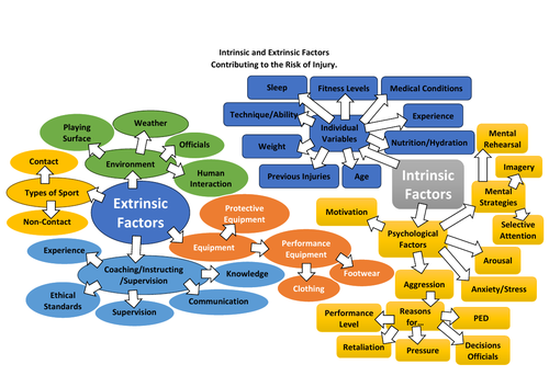 Intrinsic and Extrinsic Factors Revision Materials | Teaching Resources
