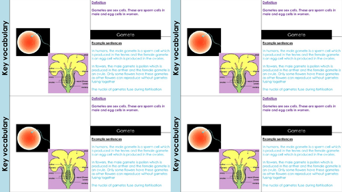 Meiosis | Teaching Resources
