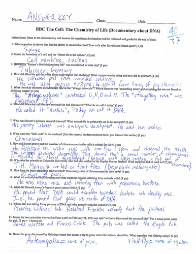 Chemistry of Life video activity (BBC the Cell) | Teaching Resources