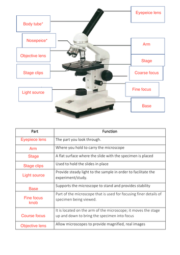 KS3 Microscopes + Microscopy | Teaching Resources