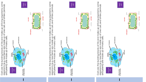 Eukaryotic cells | Teaching Resources