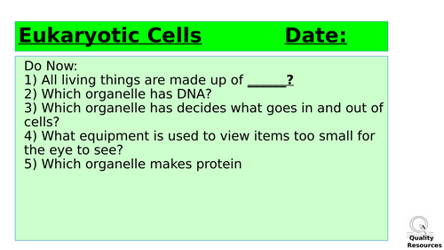 GCSE Eukaryotic Cells Complete Lesson | Teaching Resources