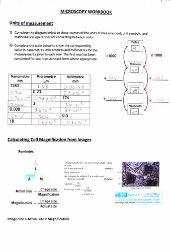A-Level Topic 1, Lesson 2 - Magnification & Calibration | Teaching ...