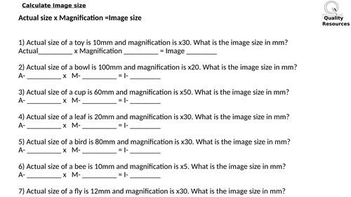 GCSE SEN/Low Ability Magnification Worksheets and Answers | Teaching ...