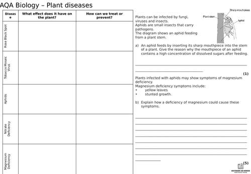 AQA - Infections and Response - Plant Diseases (TRIPLE ONLY) | Teaching ...