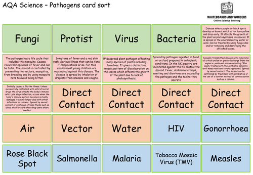 AQA - Infection and Response - Pathogens and Diseases | Teaching Resources