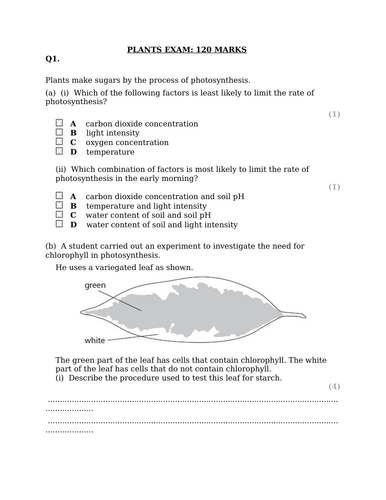 EXAM PLANTS | Teaching Resources