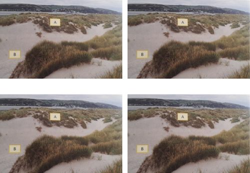 WJEC GCSE Theme 1: Lessons & Assessments | Teaching Resources