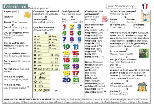 French Knowledge Organiser Basics / Year 7 | Teaching Resources