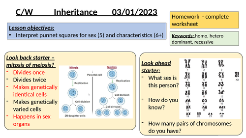 Inherited disorders and embryo screening | Teaching Resources