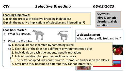Selective breeding | Teaching Resources