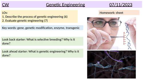 Genetic engineering | Teaching Resources