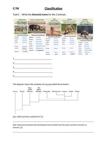 Classification | Teaching Resources