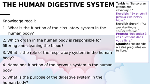 3.1 L4 The digestive system (AQA, ELC spec. for GCSE EAL learners ...