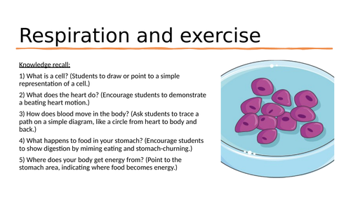 3.1 L5 Respiration and health (AQA, ELC spec. for GCSE EAL learners ...
