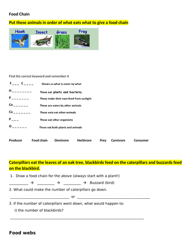 Food chains & food webs worksheet | Teaching Resources
