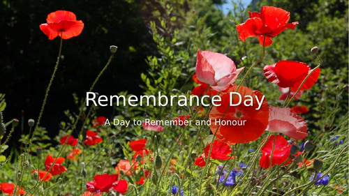 Remembrance Day Presentation | Teaching Resources