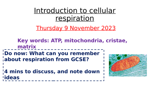 Respiration bundle | Teaching Resources