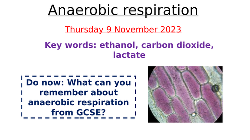 Respiration bundle | Teaching Resources