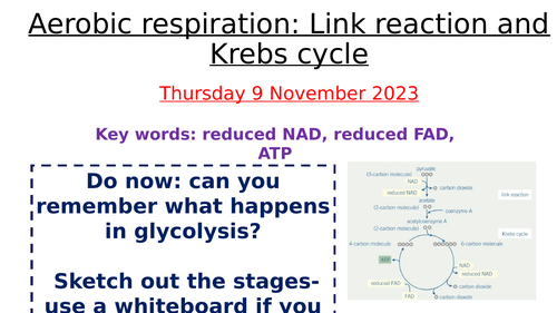 Respiration bundle | Teaching Resources