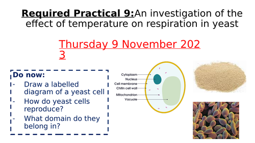 Respiration bundle | Teaching Resources