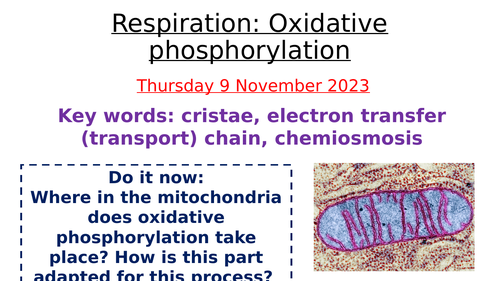 Respiration bundle | Teaching Resources