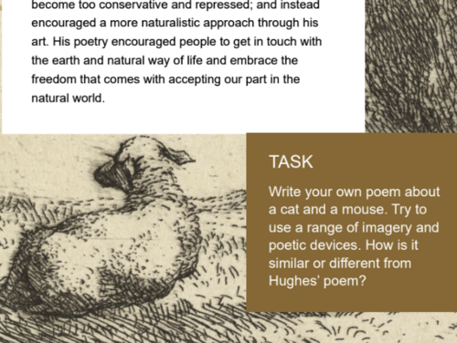 'Cat and Mouse' by Ted Hughes - Complete Lesson + Study Guide ...