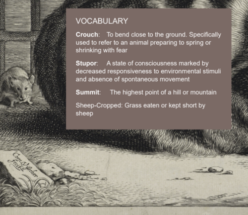 'Cat and Mouse' by Ted Hughes - Complete Lesson + Study Guide ...